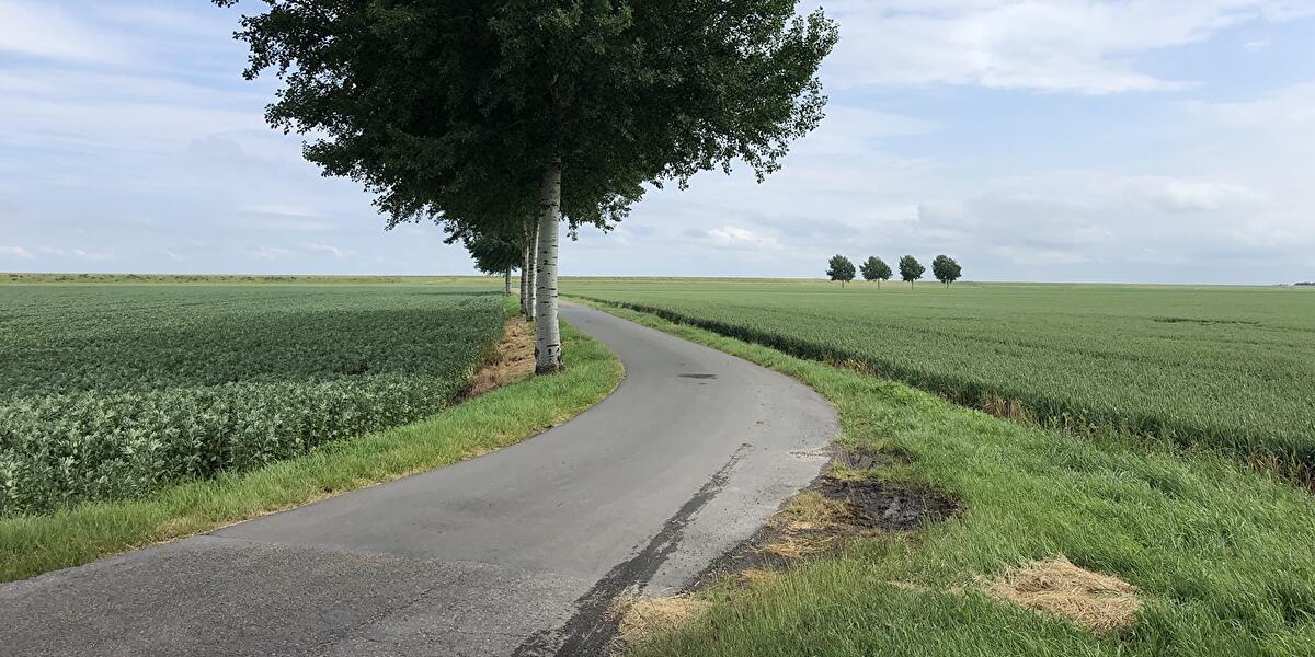 Over ons - Geo Noord B.V.